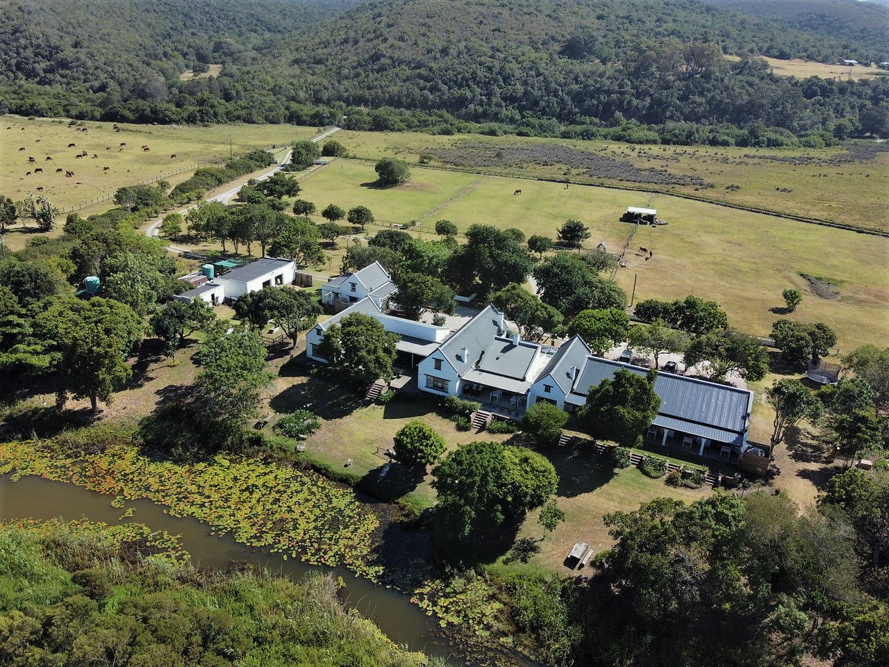 Bitou River Lodge - Plettaway